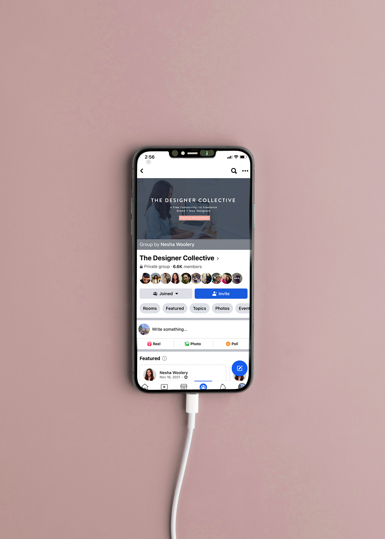 6 Steps to Finding your Niche as a Graphic Designer – Bloom & Brand ...
